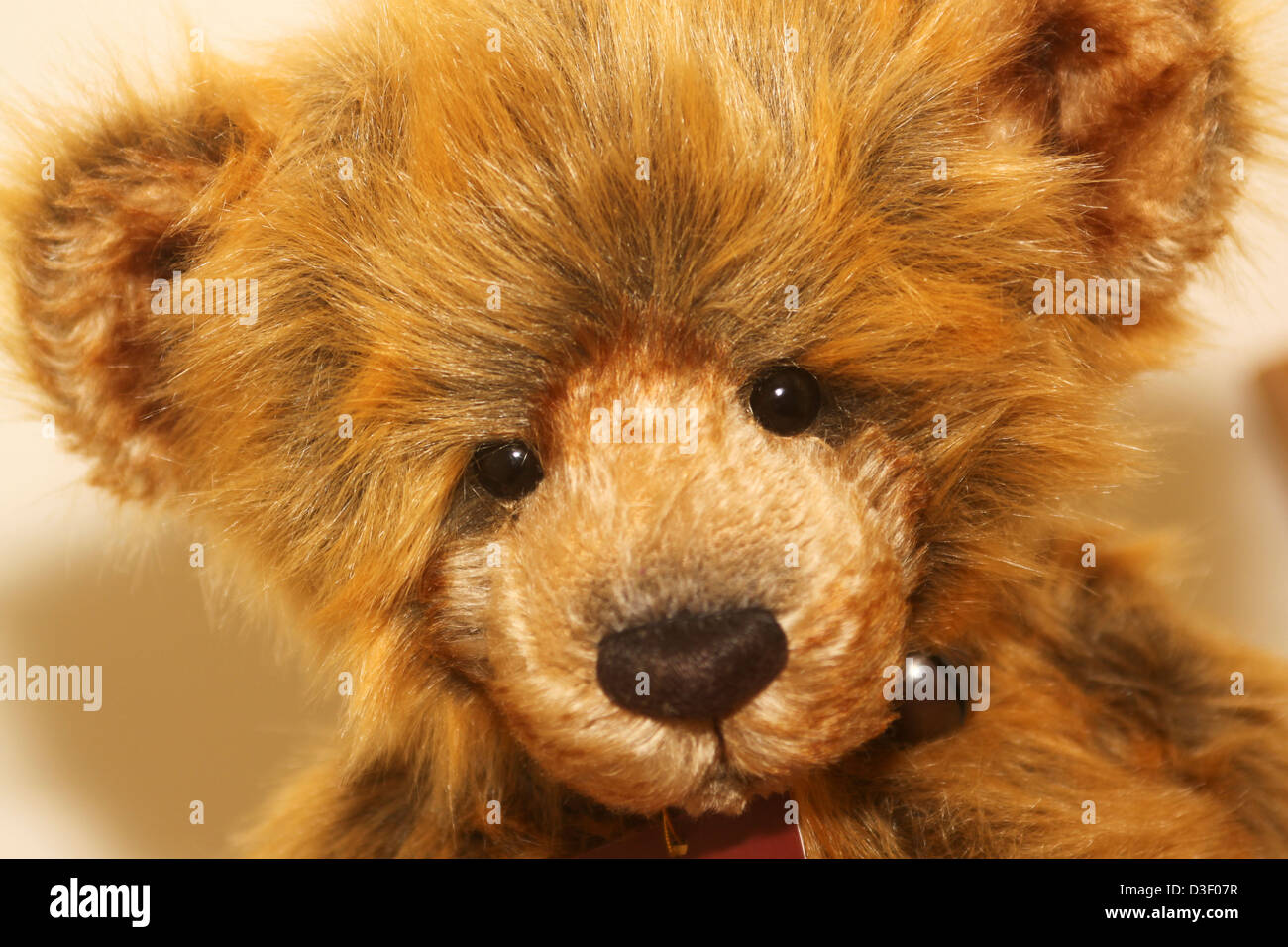 Soft cuddly teddy bear hi-res stock photography and images - Alamy