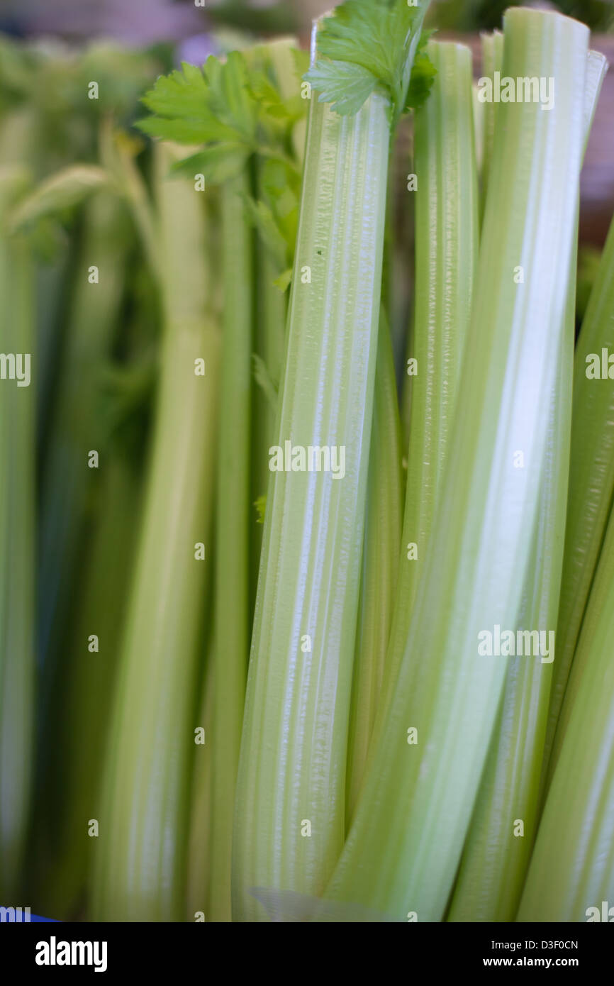 Food celery hi-res stock photography and images - Alamy