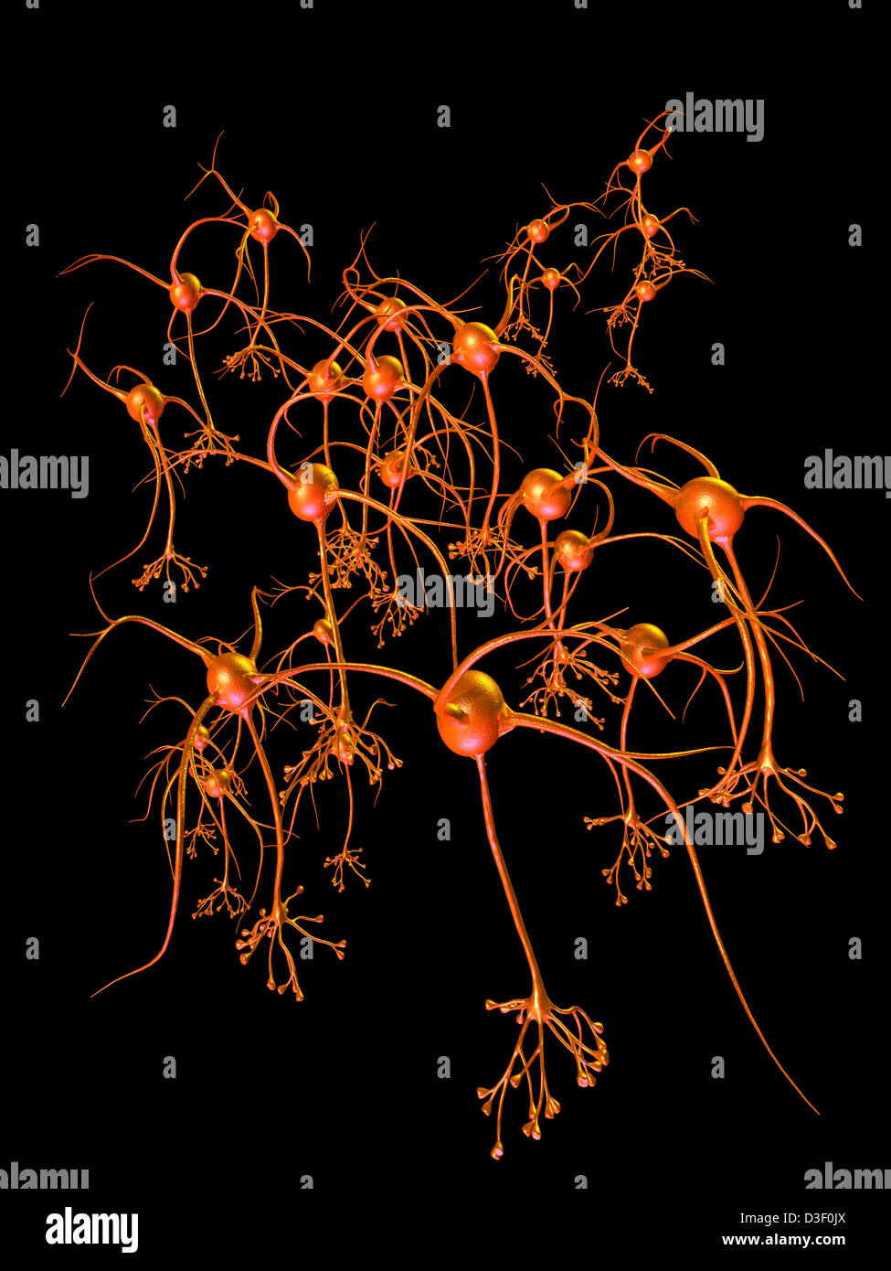 computer-generated illustration of a network of neurons Stock Photo - Alamy