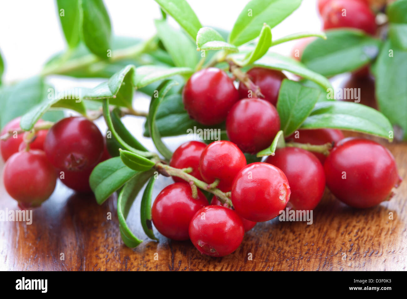 Lingonberry flavor hi-res stock photography and images - Alamy