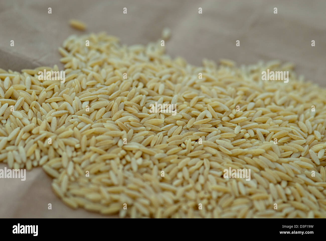 Close up of the grains of pasta Orzo Stock Photo - Alamy