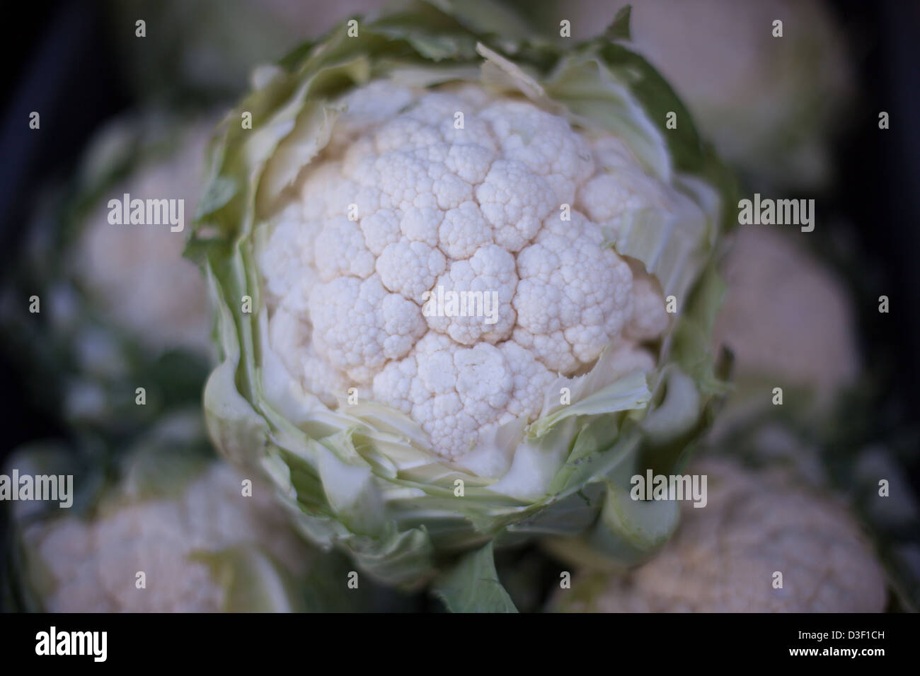 Fresh cauliflower vegetables on a stall in a farmers shop Stock Photo ...