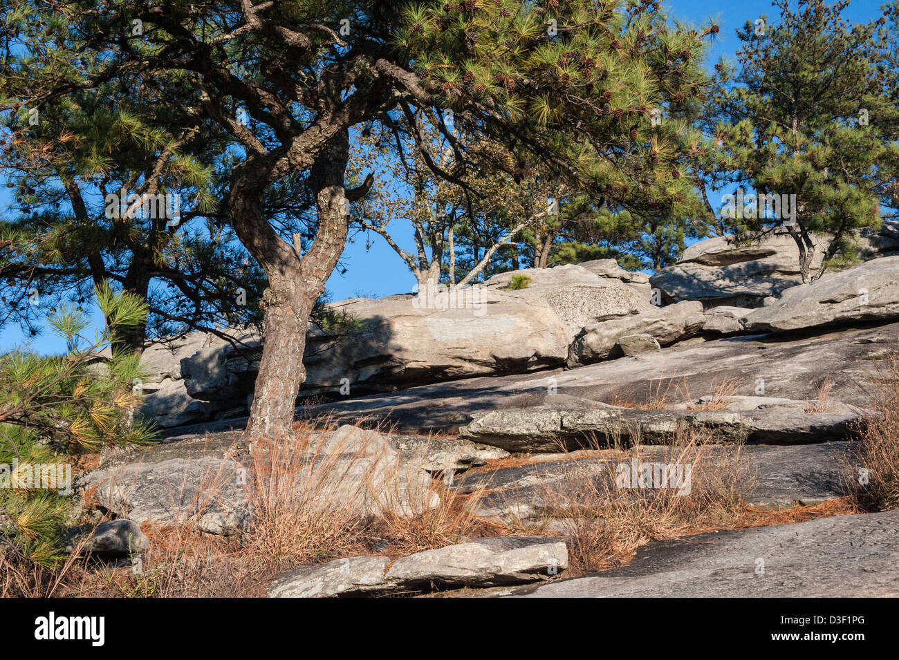 Atlanta hiking trails hi-res stock photography and images - Alamy