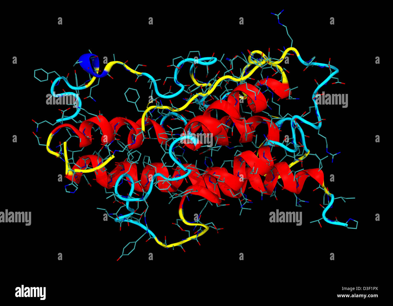 Human Growth Hormone Stock Photos & Human Growth Hormone Stock Images ...