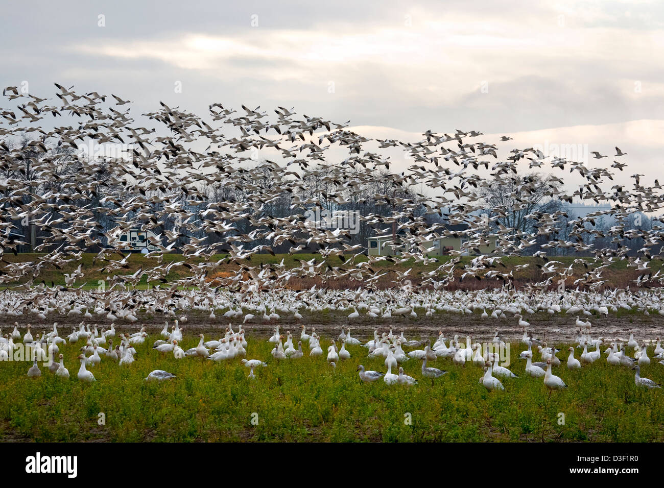 Island delta hi-res stock photography and images - Alamy