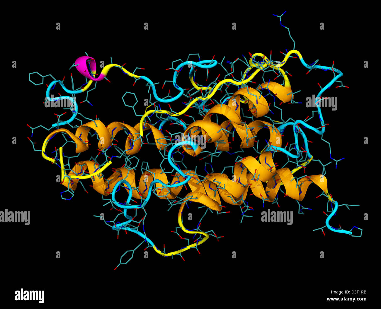 computer graphic illustration of the human growth hormone molecule ...