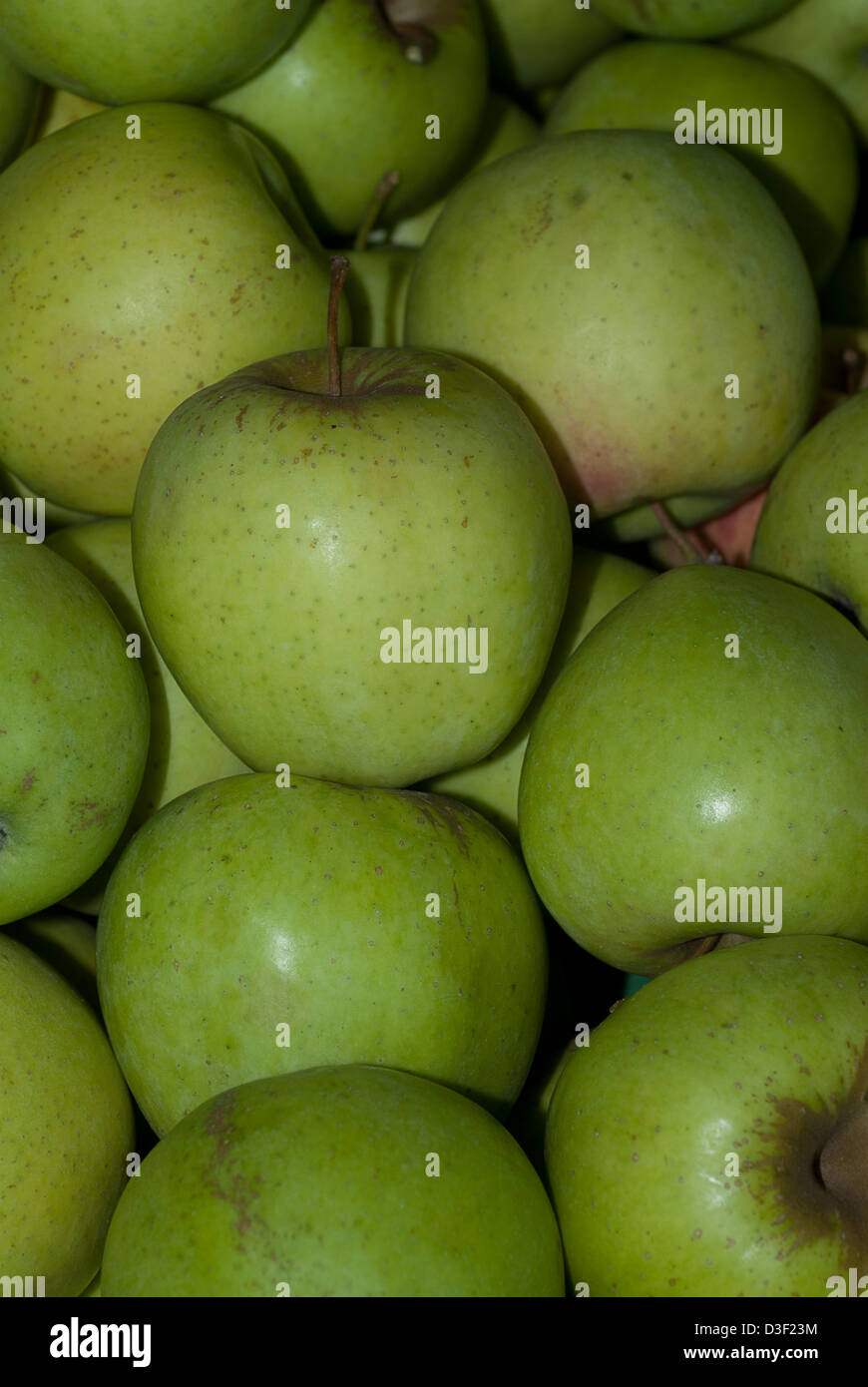 ‘golden delicious’ apple hi-res stock photography and images - Alamy