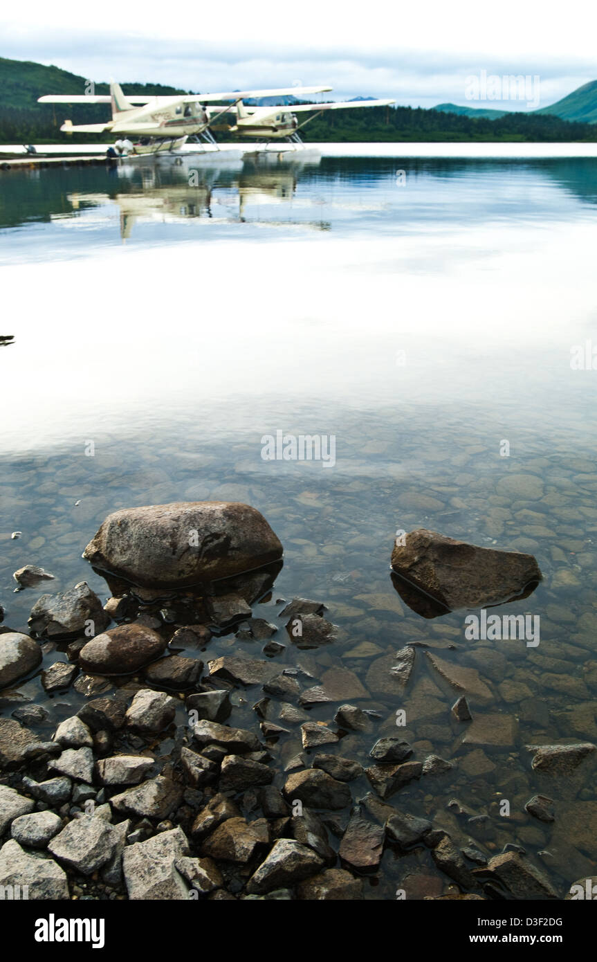 DeHavilland Beaver floatplanes docked on Lake Aleknagik, near ...