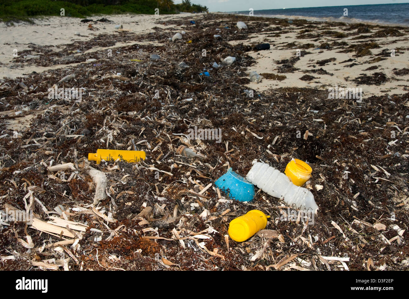 garbage on the beach, Cozumel, Mexico Stock Photo - Alamy
