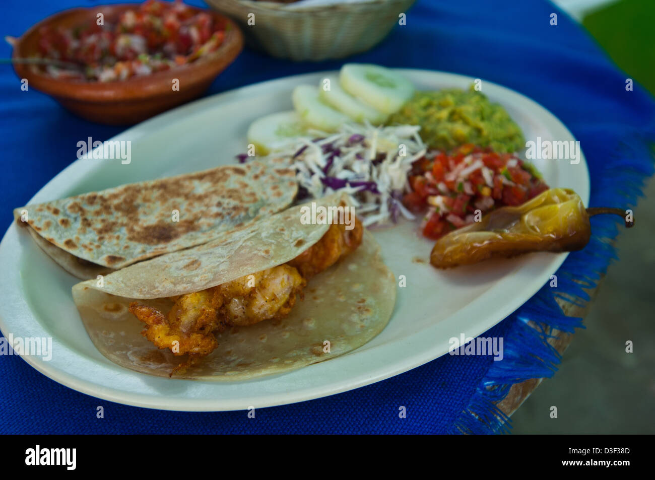 Gallo fish hi-res stock photography and images - Alamy