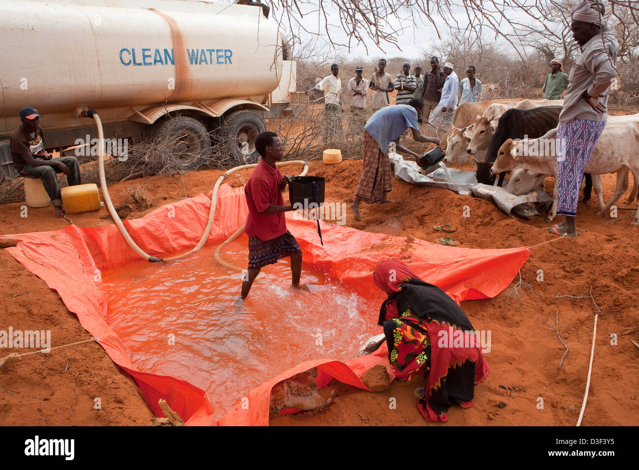 NYTALIYO, ELWAK, EASTERN KENYA, 3rd SEPTEMBER 2009: Pastoralists fill ...