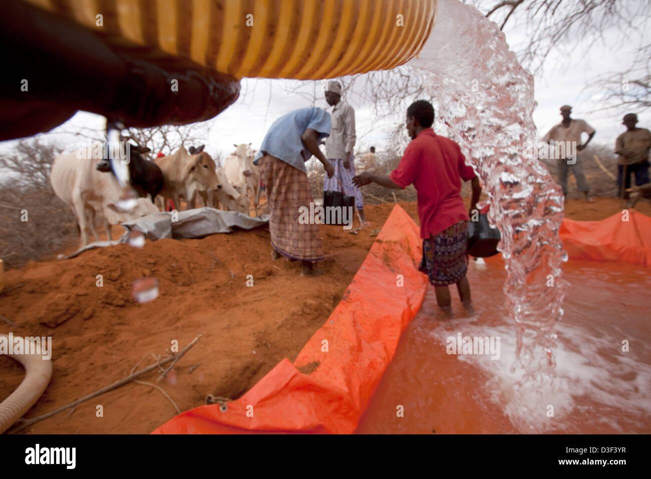 NYTALIYO, ELWAK, EASTERN KENYA, 3rd SEPTEMBER 2009: Pastoralists fill ...