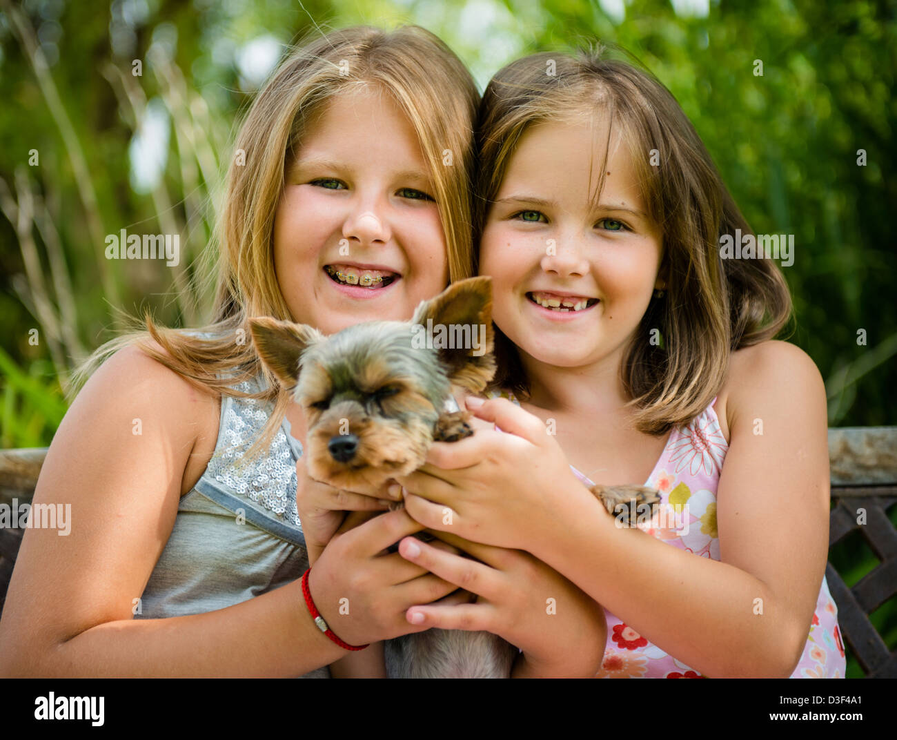 Happy smiling children playing with their pet - outdoor in backyard ...