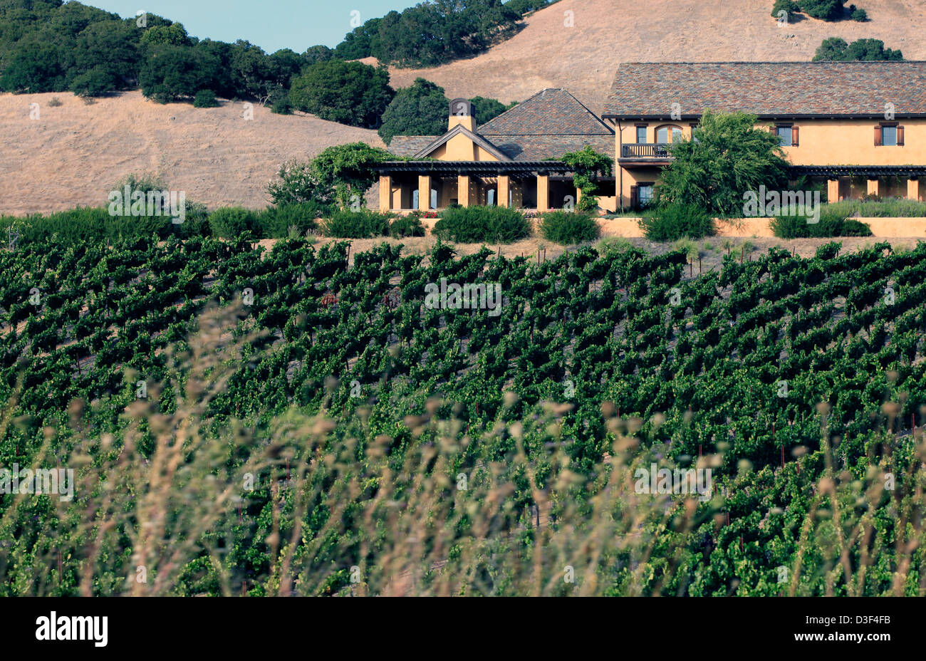 Romantic vineyard tour hi-res stock photography and images - Alamy