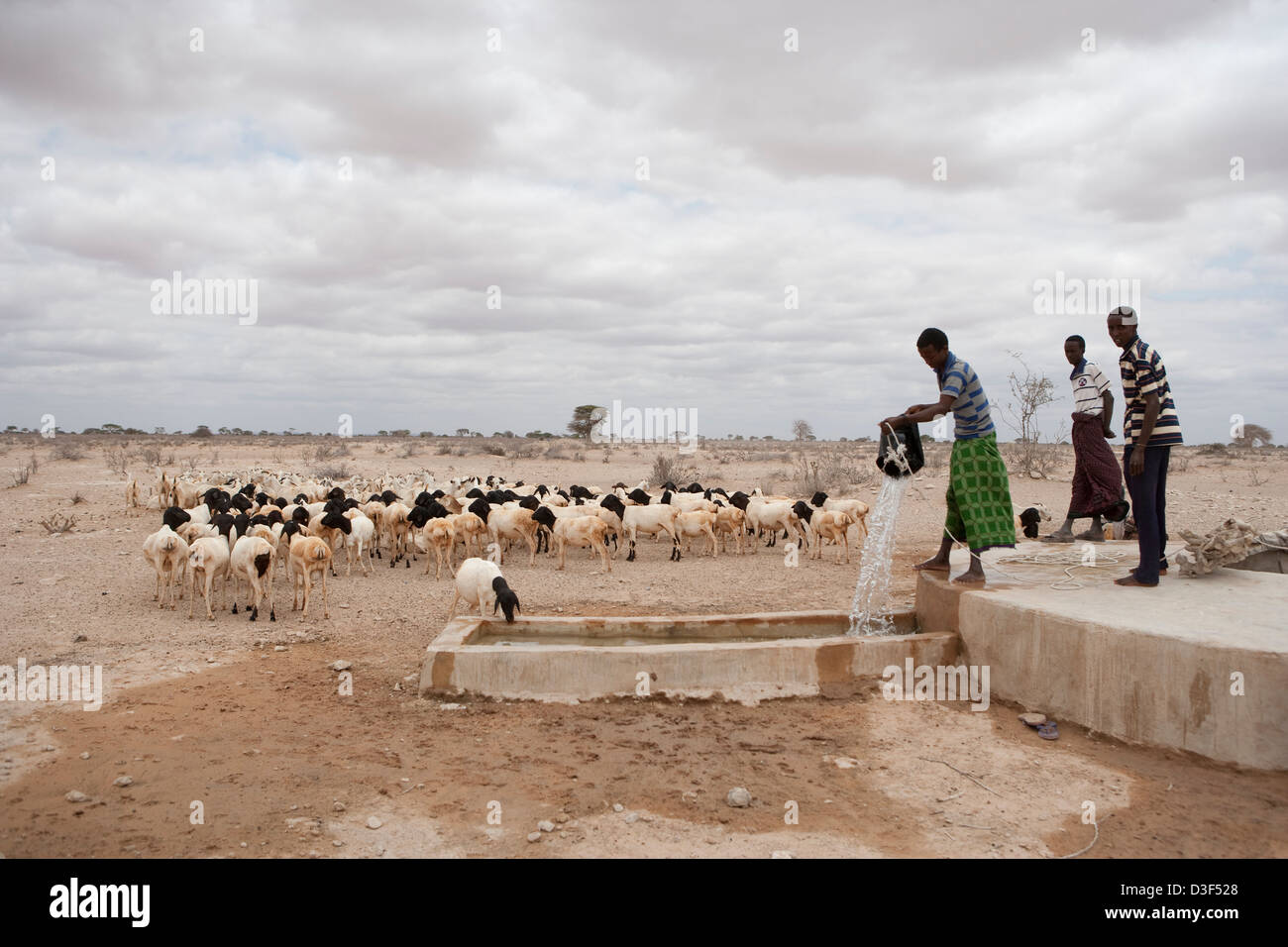 African watering hole drought hi-res stock photography and images - Alamy
