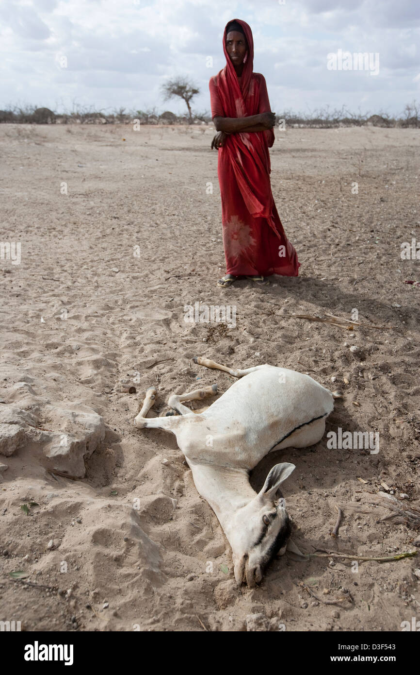 Dead animals drought hi-res stock photography and images - Alamy