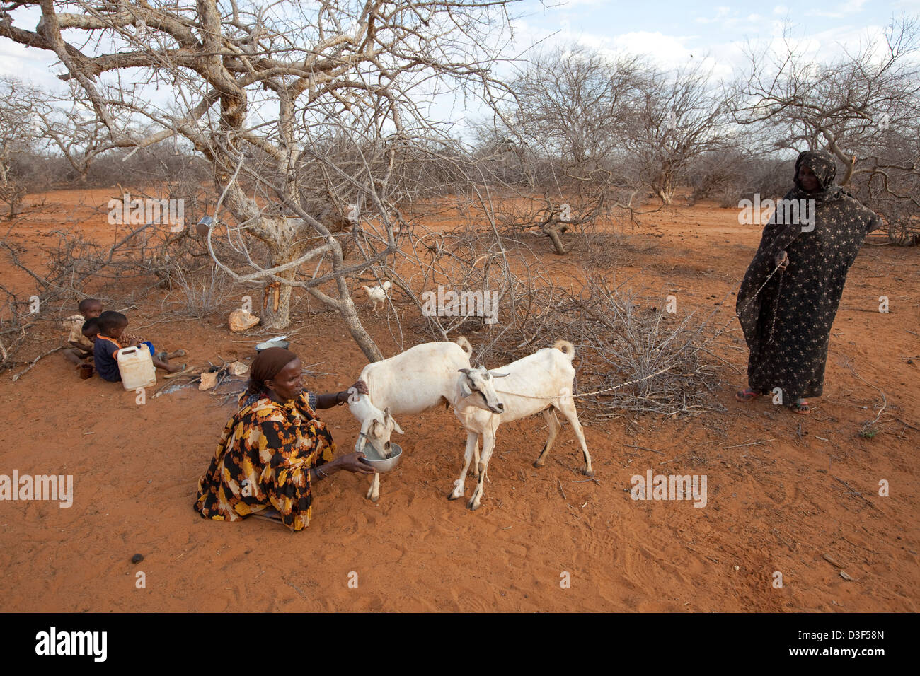MAKUTANO, NORTH OF ELWAK, EASTERN KENYA, 2nd SEPTEMBER 2009: Women feed ...