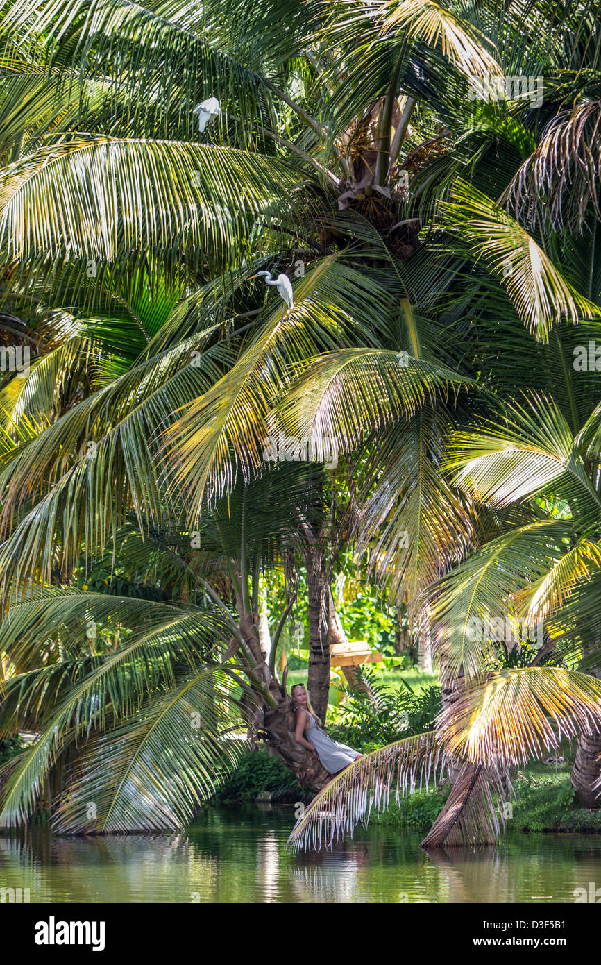 Girl under palm tree on hi-res stock photography and images - Alamy
