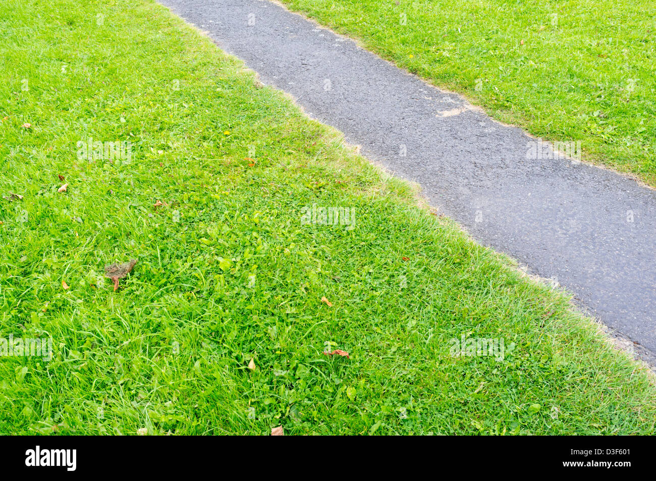 Path through the grass Stock Photo - Alamy