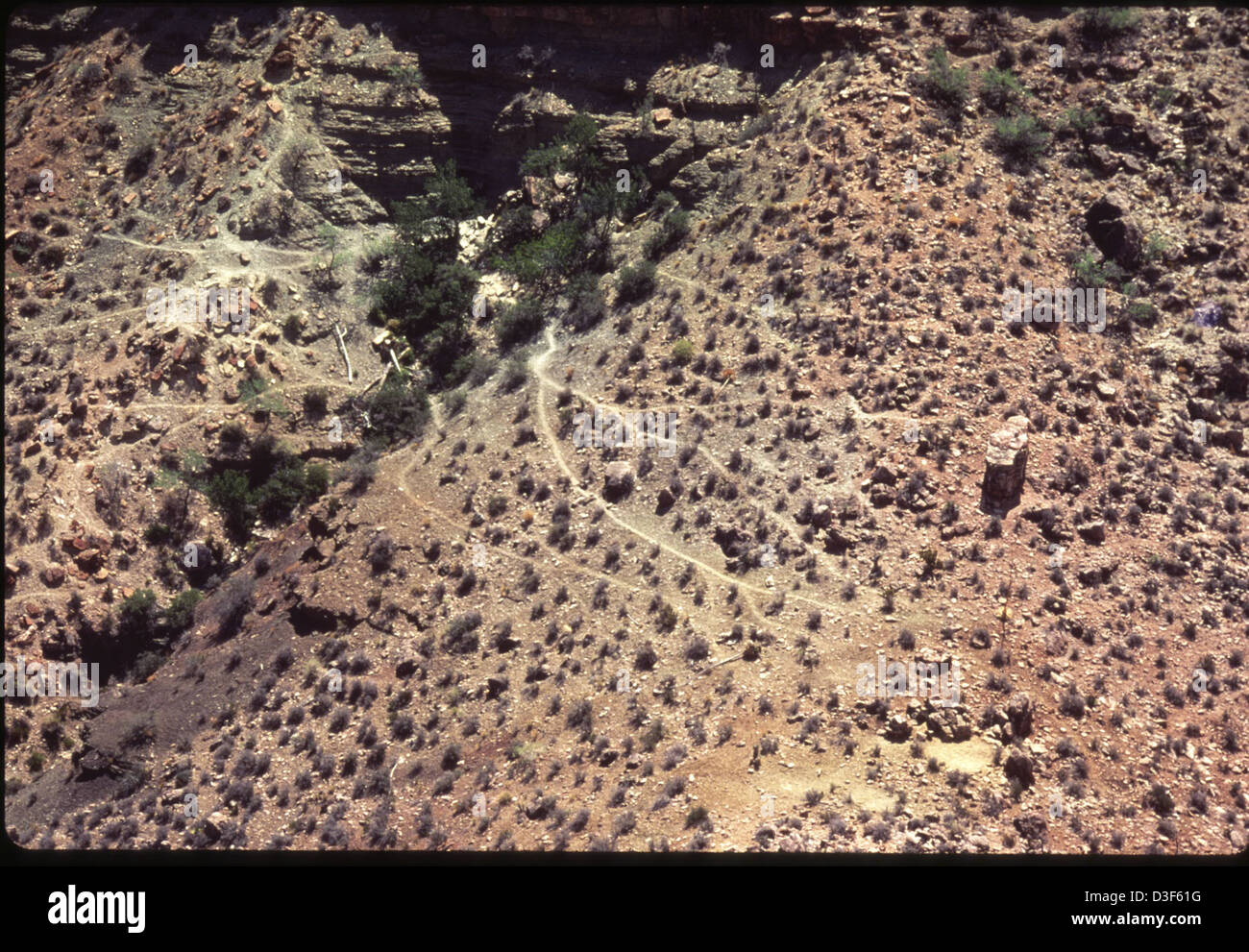 Aerial views from 1975 show the environmental impact of feral burros in ...