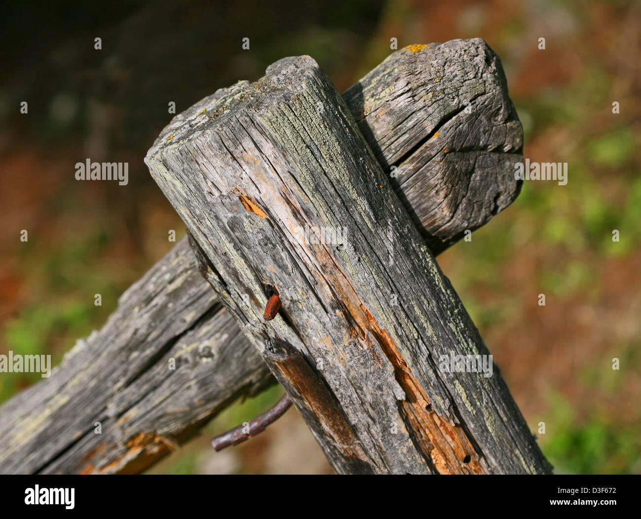 Old fence Stock Photo - Alamy