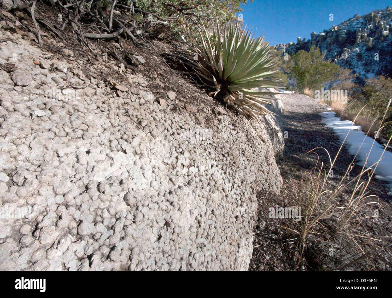 spherulite or rhyolite hailstones Stock Photo - Alamy
