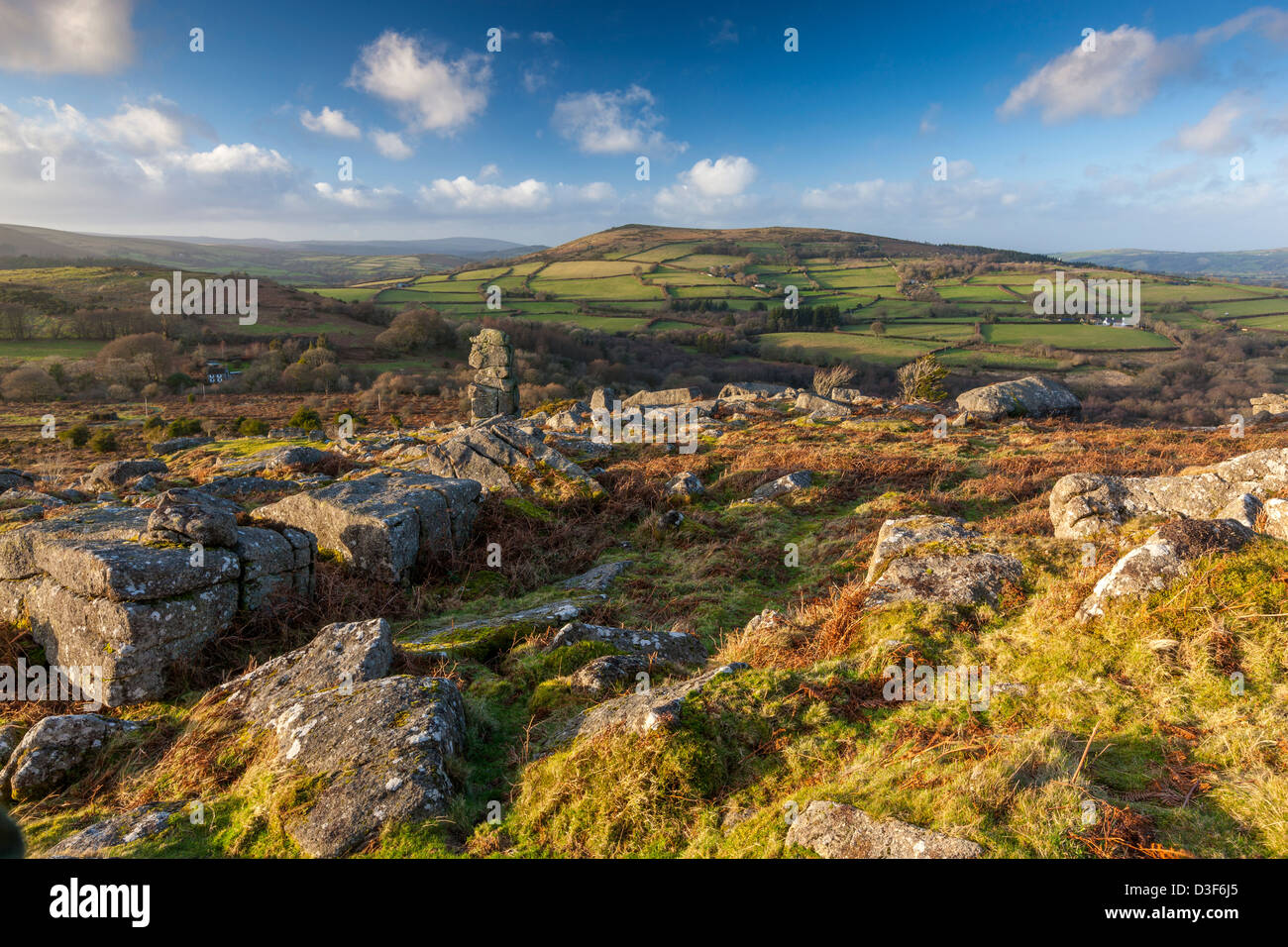 Bowerman's Nose, a stack of weathered granite on Hayne Down in Dartmoor ...