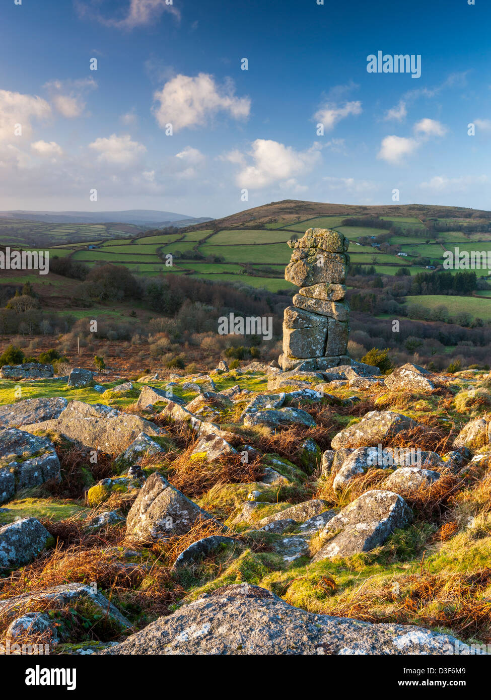 Bowerman's Nose, a stack of weathered granite on Hayne Down in Dartmoor ...