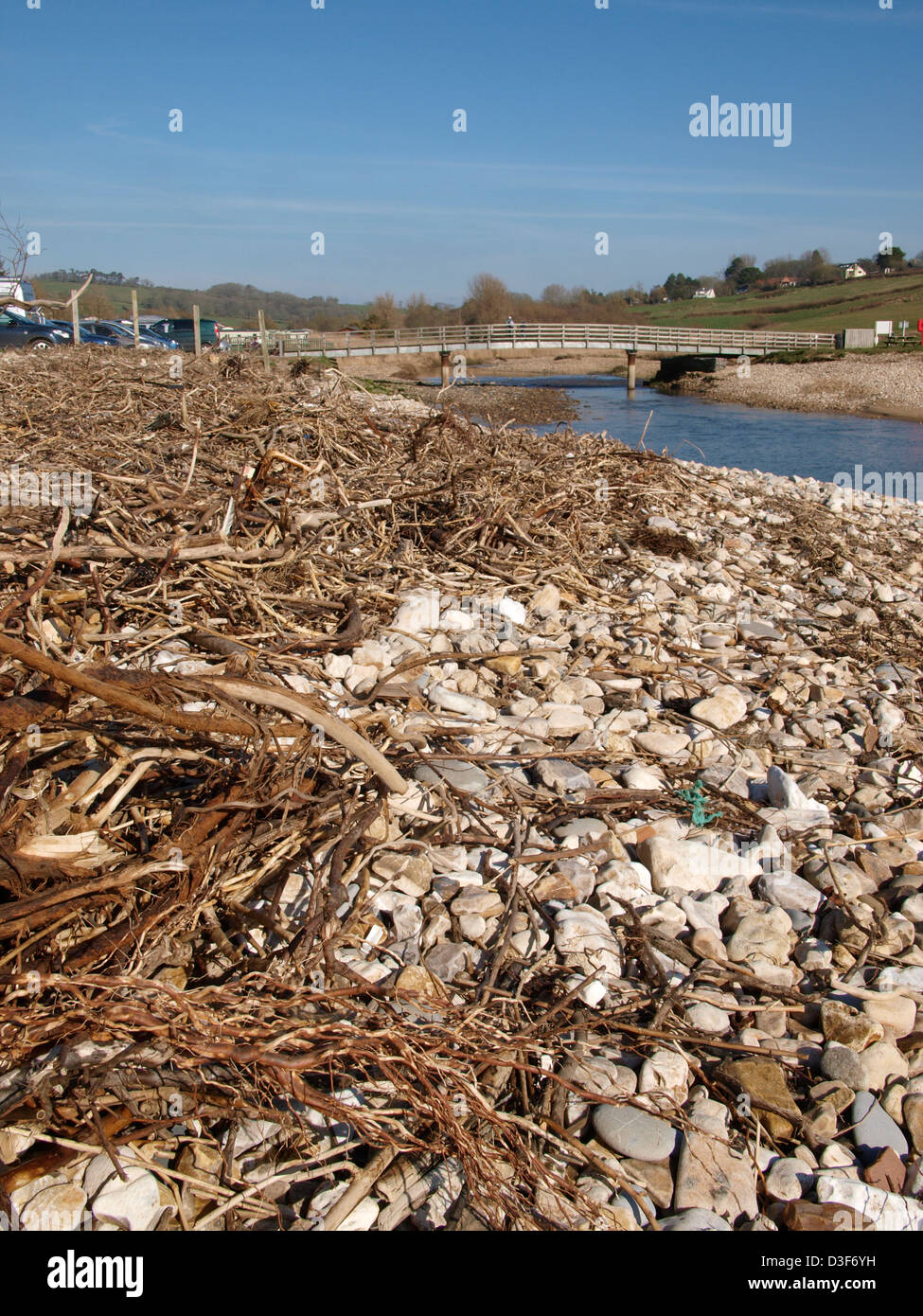 Flotsam washed up on Charmouth Beach Stock Photo - Alamy