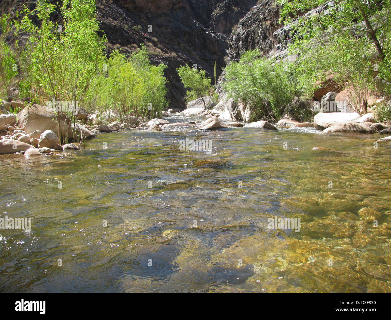 Shinumo High Resolution Stock Photography and Images - Alamy