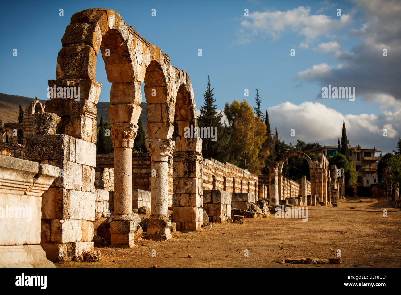 Gerrha hi-res stock photography and images - Alamy
