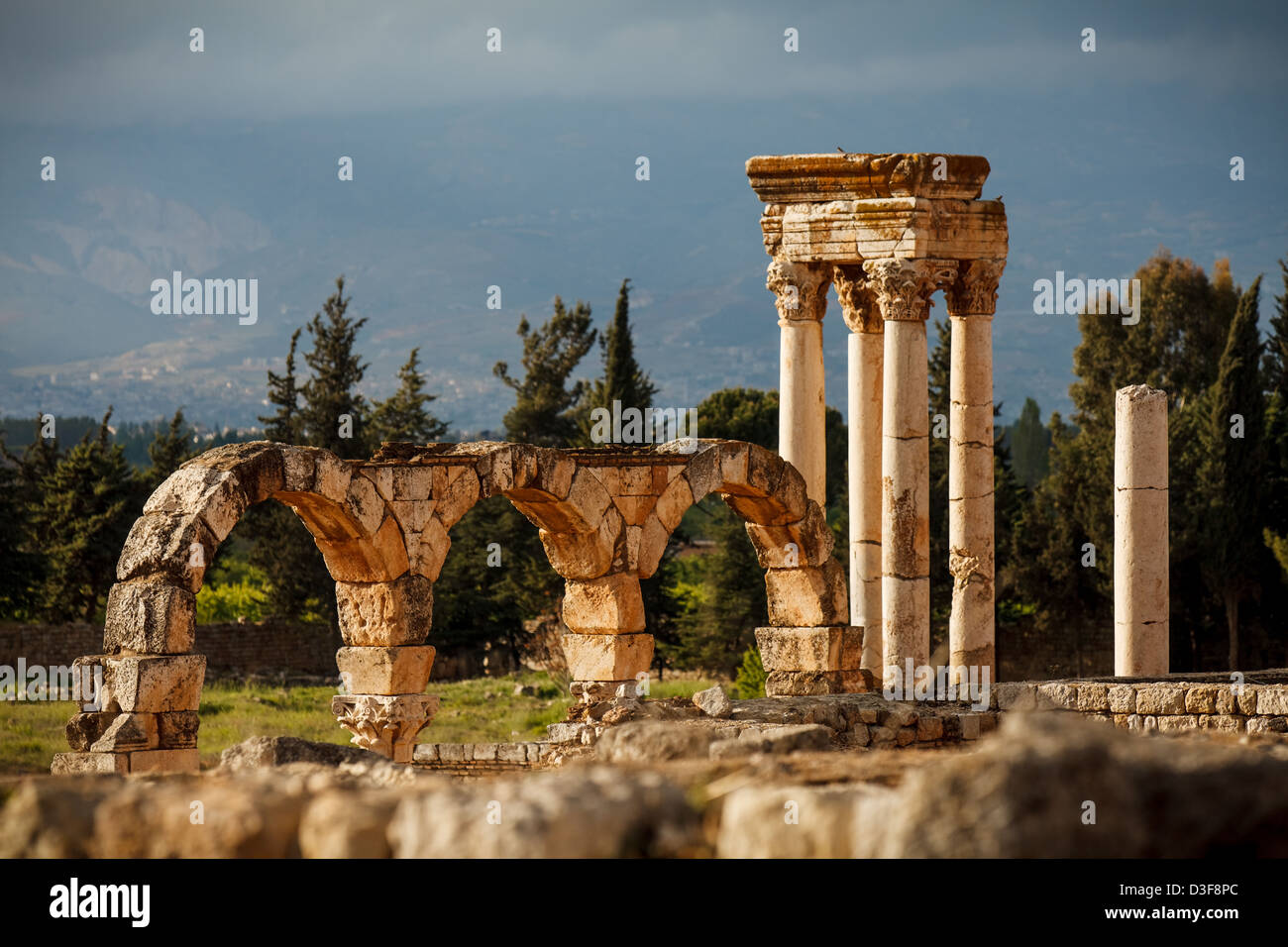 Gerrha hi-res stock photography and images - Alamy