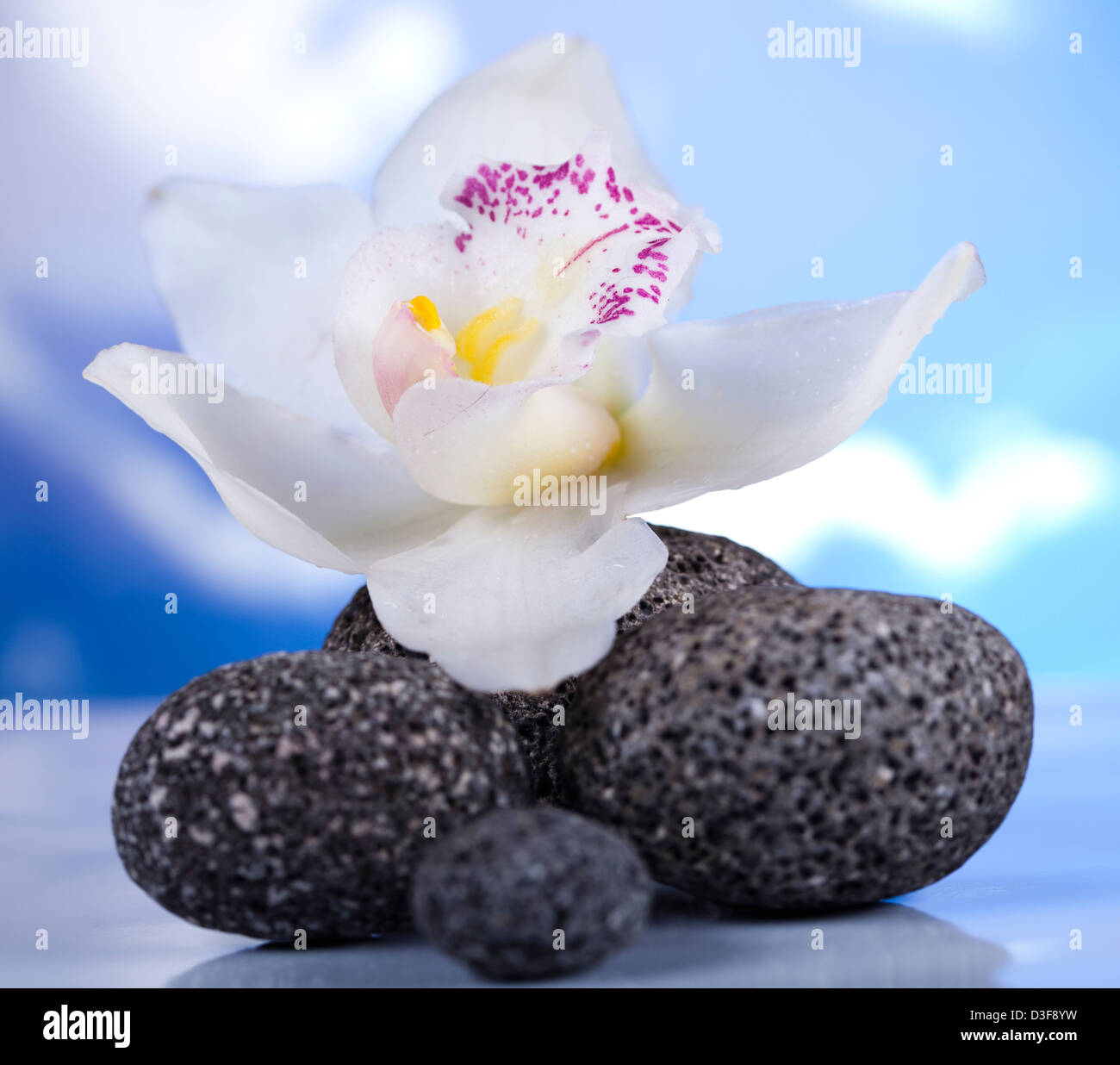 Spa still life with white flowers Stock Photo - Alamy