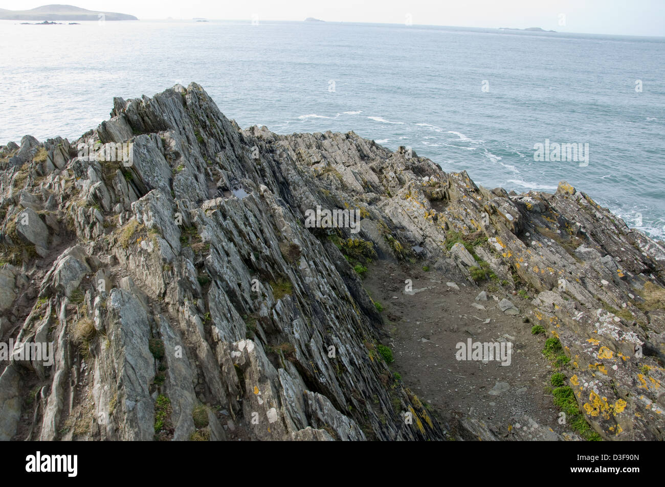 The Welsh Coastal Path near Whitesands in Pembrokeshire Stock Photo - Alamy