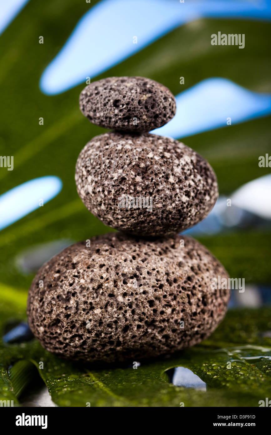 Leaf & Stones Stock Photo - Alamy