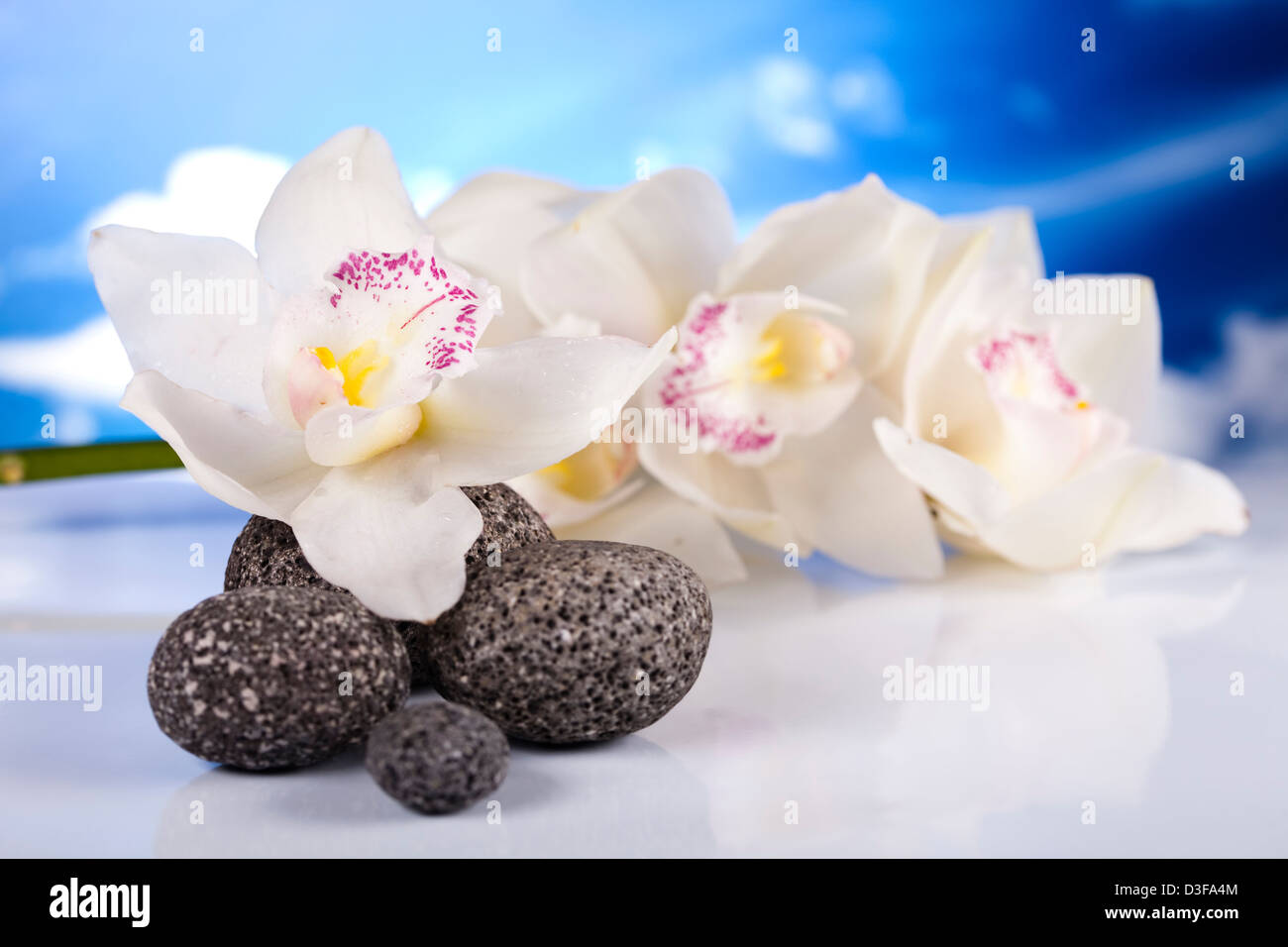Spa still life with white flowers Stock Photo - Alamy