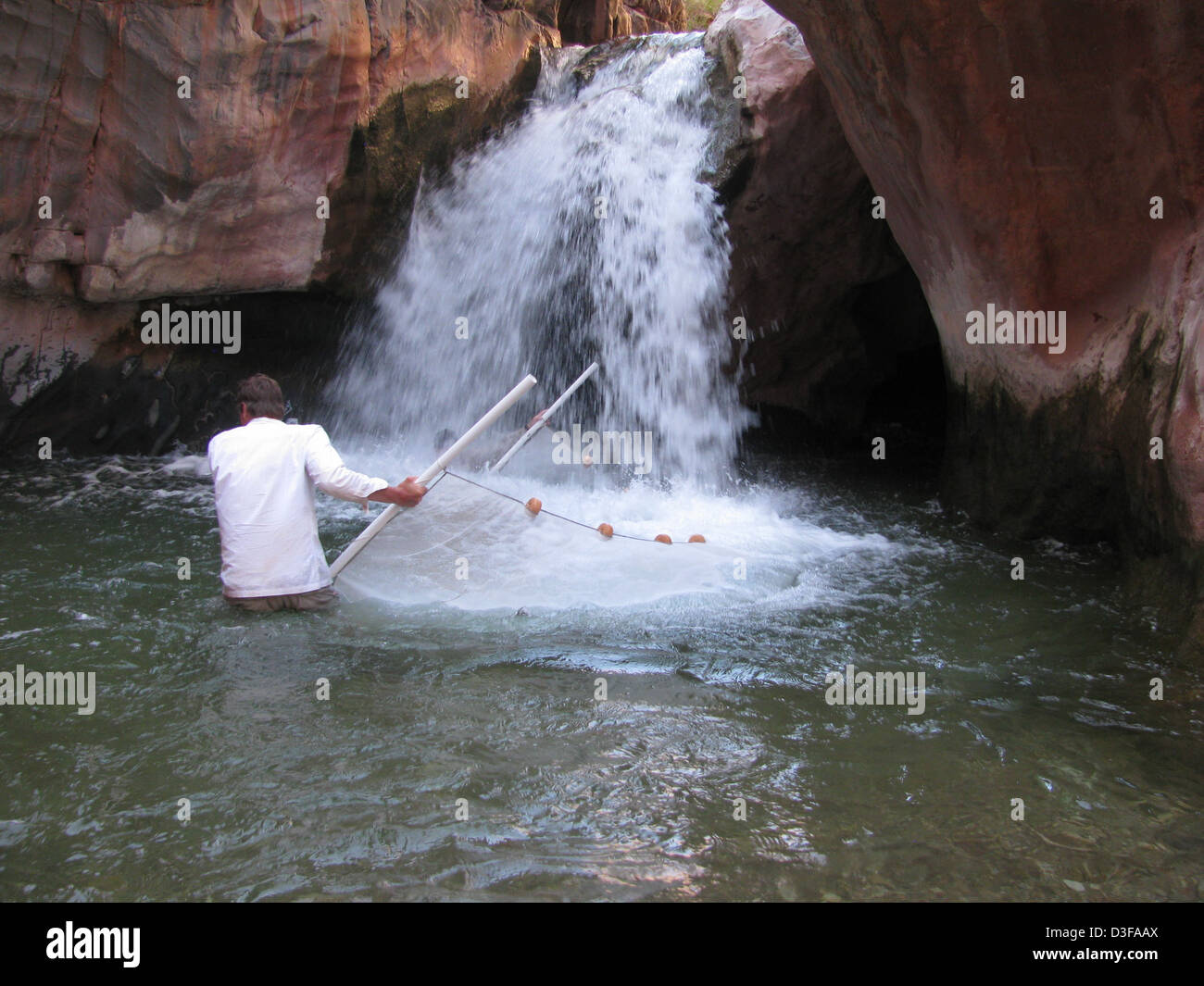 The translocation of Humpback Chub to Shinumo Creek in Grand Canyon ...