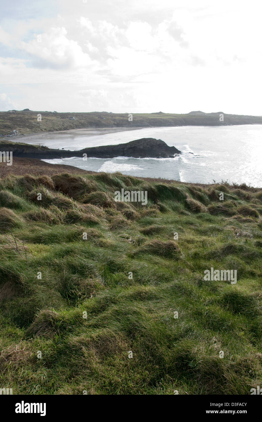 The Welsh Coastal Path near Whitesands in Pembrokeshire Stock Photo - Alamy