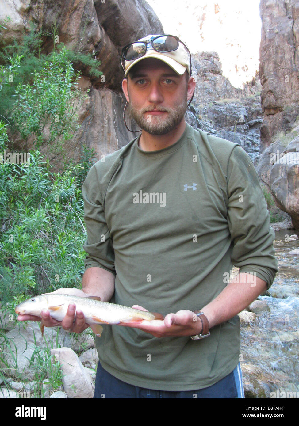 The Humpback Chub, a native fish species, is being translocated to ...