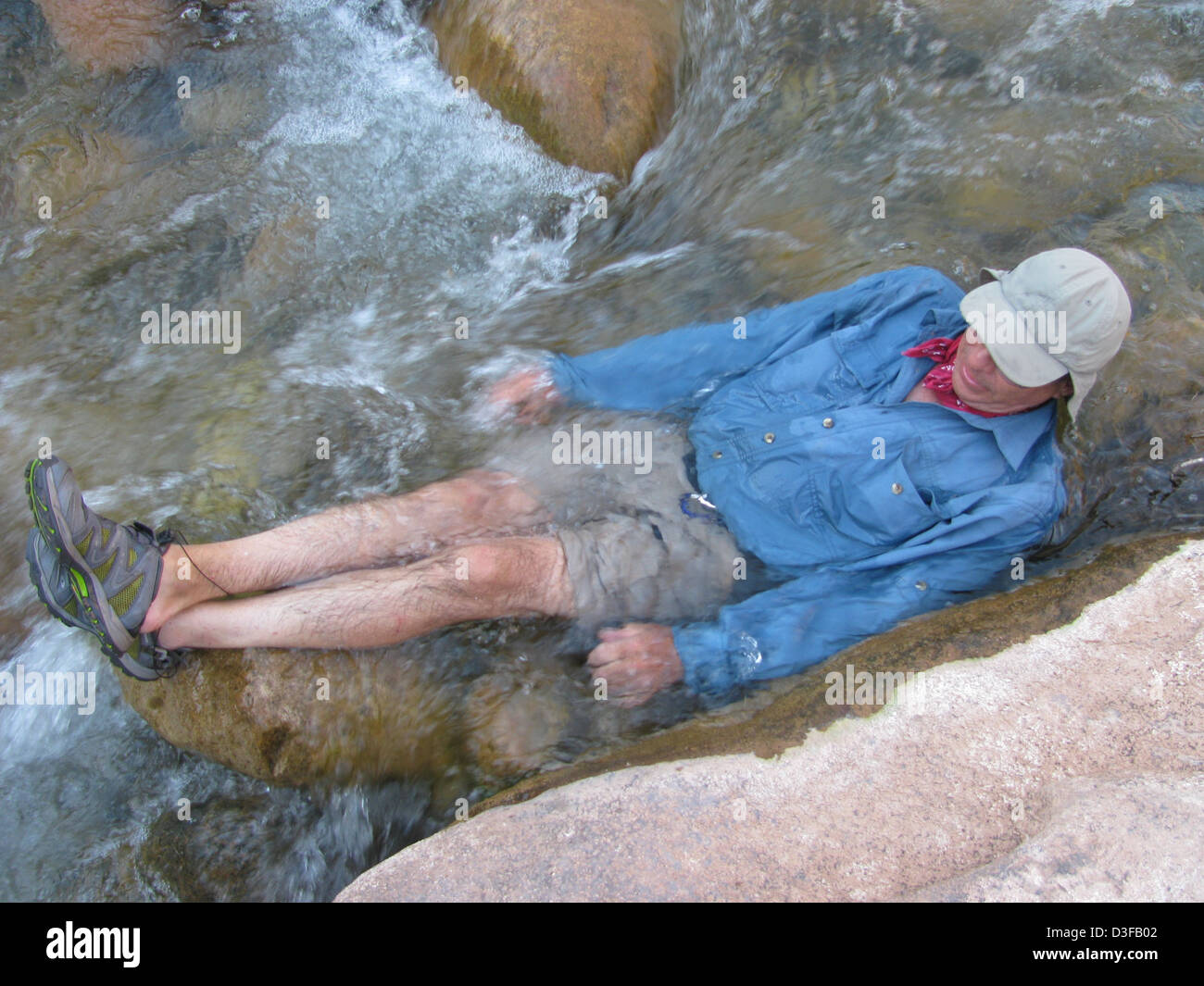 The translocation of humpback chub fish to Shinumo Creek in Grand ...