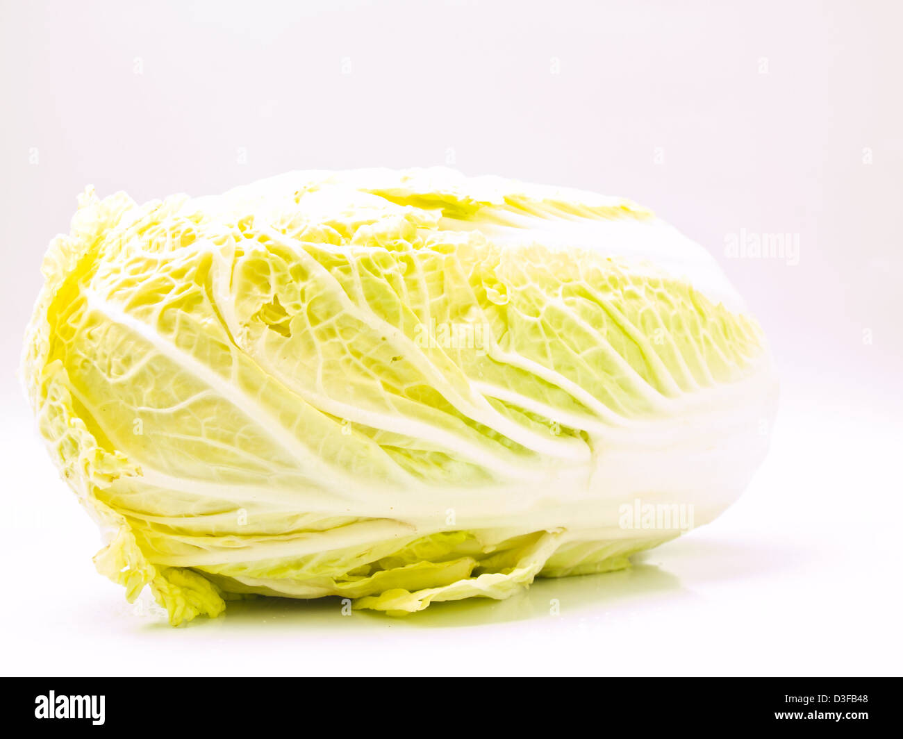 Fresh Chinese cabbage Stock Photo - Alamy