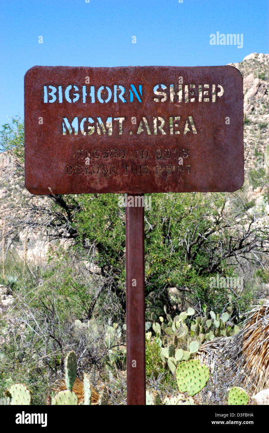 Sign Bighorn sheep management area Stock Photo - Alamy
