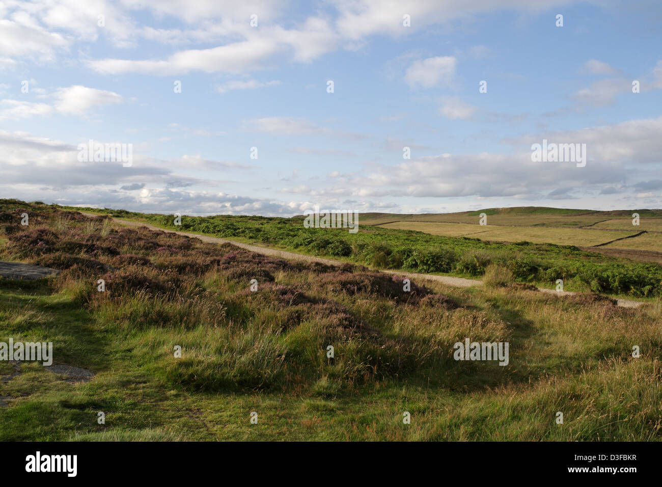 A path over Curbar edge in the Derbyshire Peak district national park ...