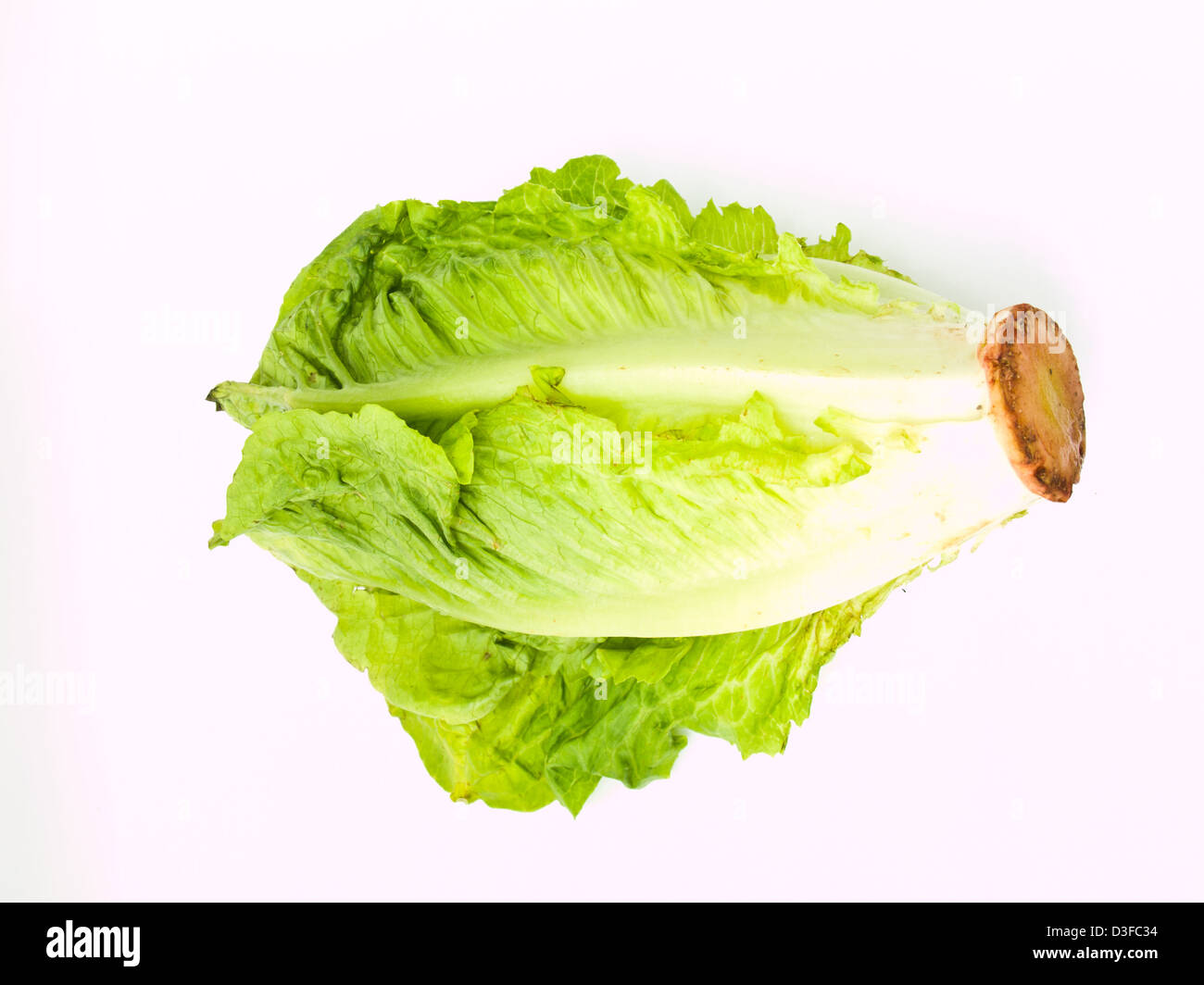 Fresh crisp salad hi-res stock photography and images - Alamy