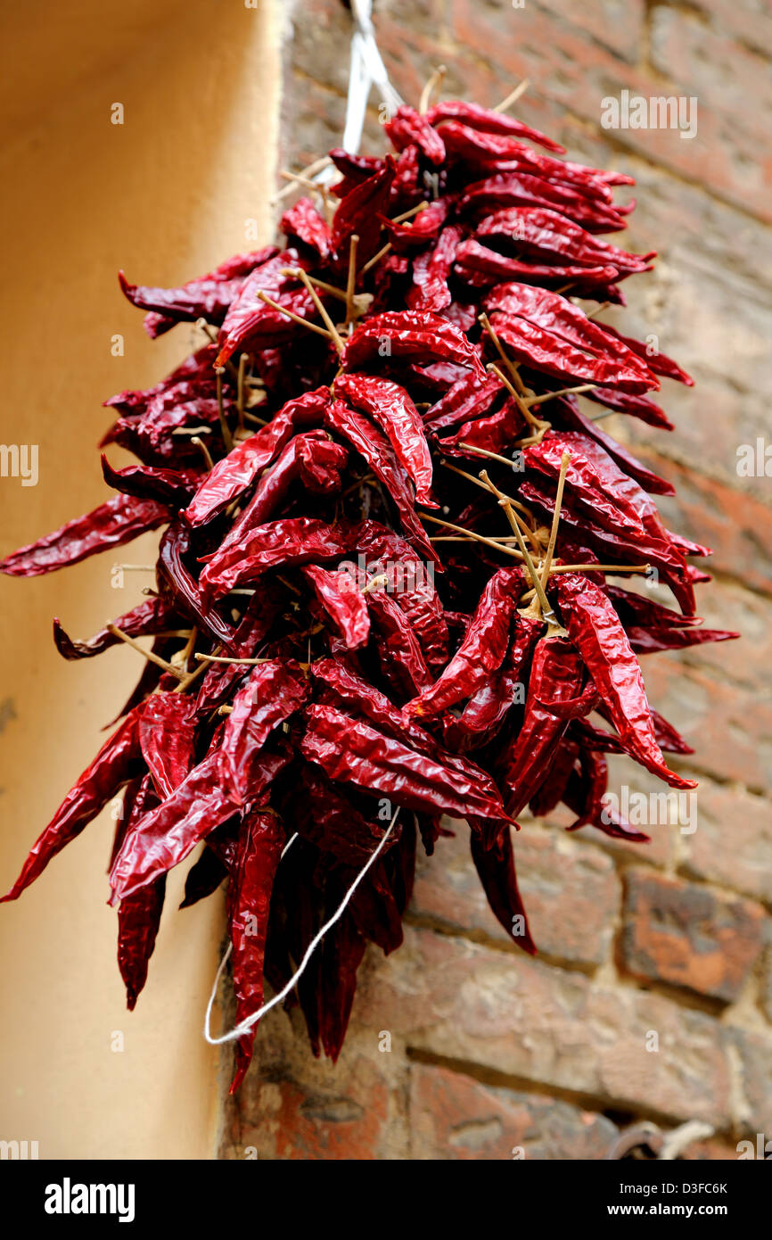 Hanging chilli hi-res stock photography and images - Alamy