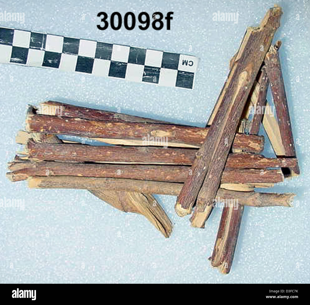 The Split-Twig Figurine, an ancient prehistoric artifact found in Grand ...