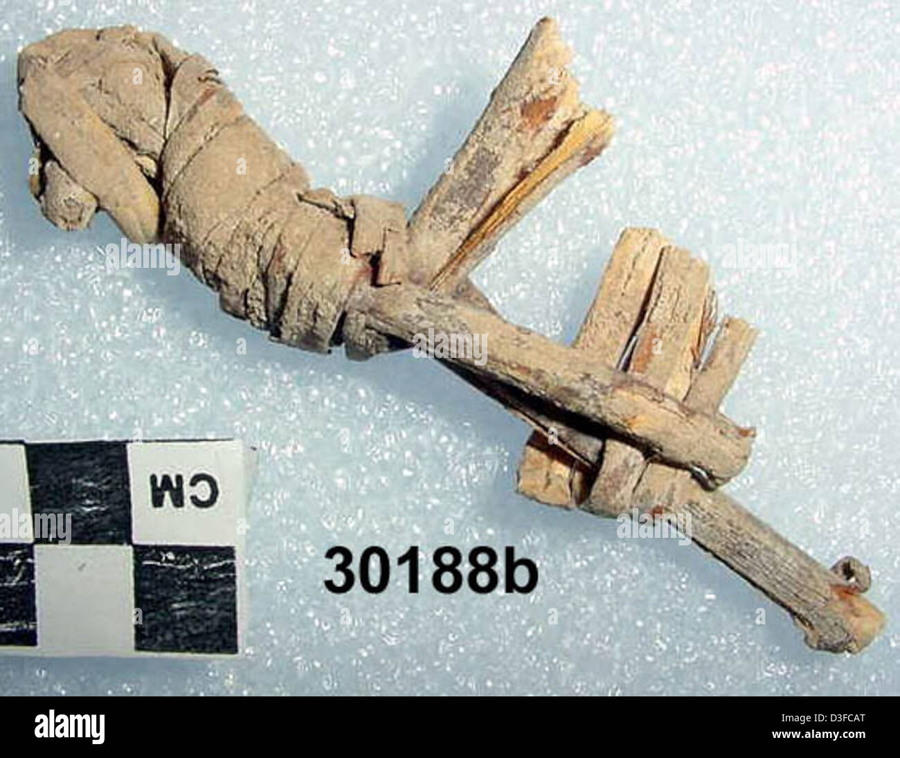 The Split-Twig Figurine, an ancient archaic artifact found in the Grand ...