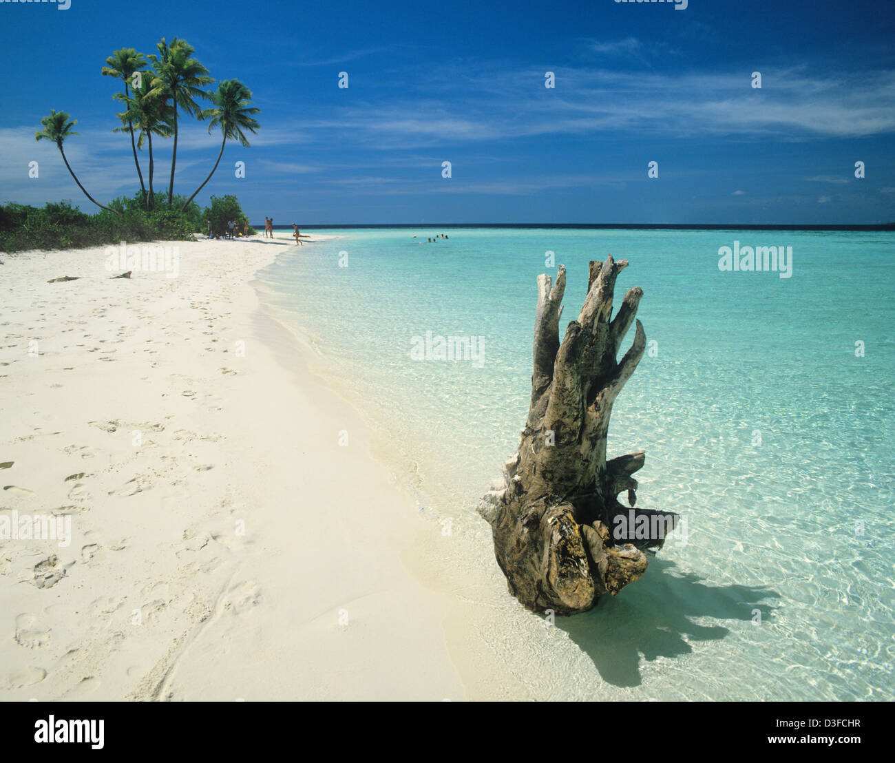 Republik of Maldives, Vaavu Atoll, tropical idyll on Little Shell ...