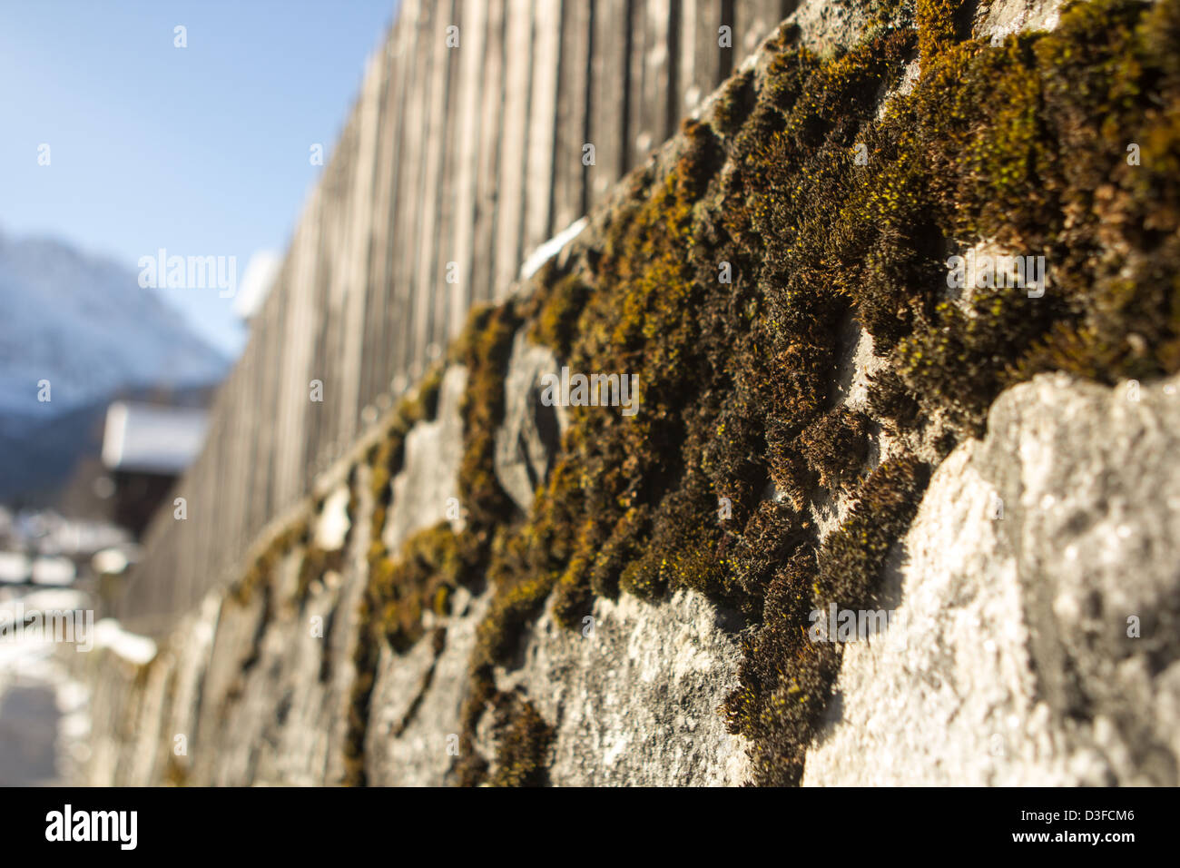 Moss covering a road side wall Stock Photo - Alamy
