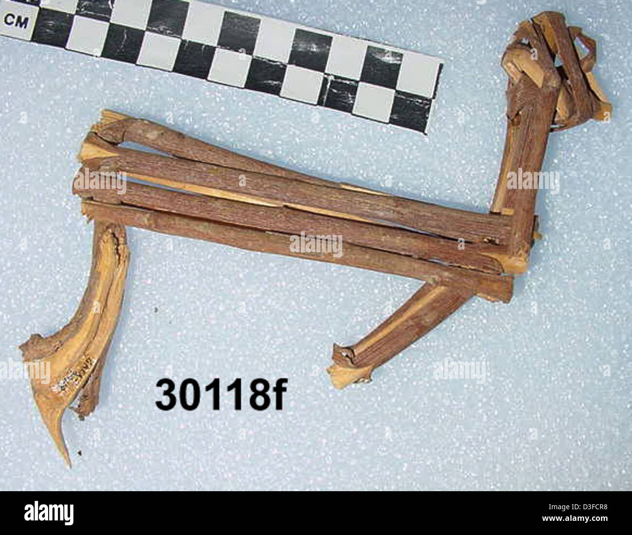 The Split-Twig Figurine, a prehistoric artifact from the Grand Canyon ...